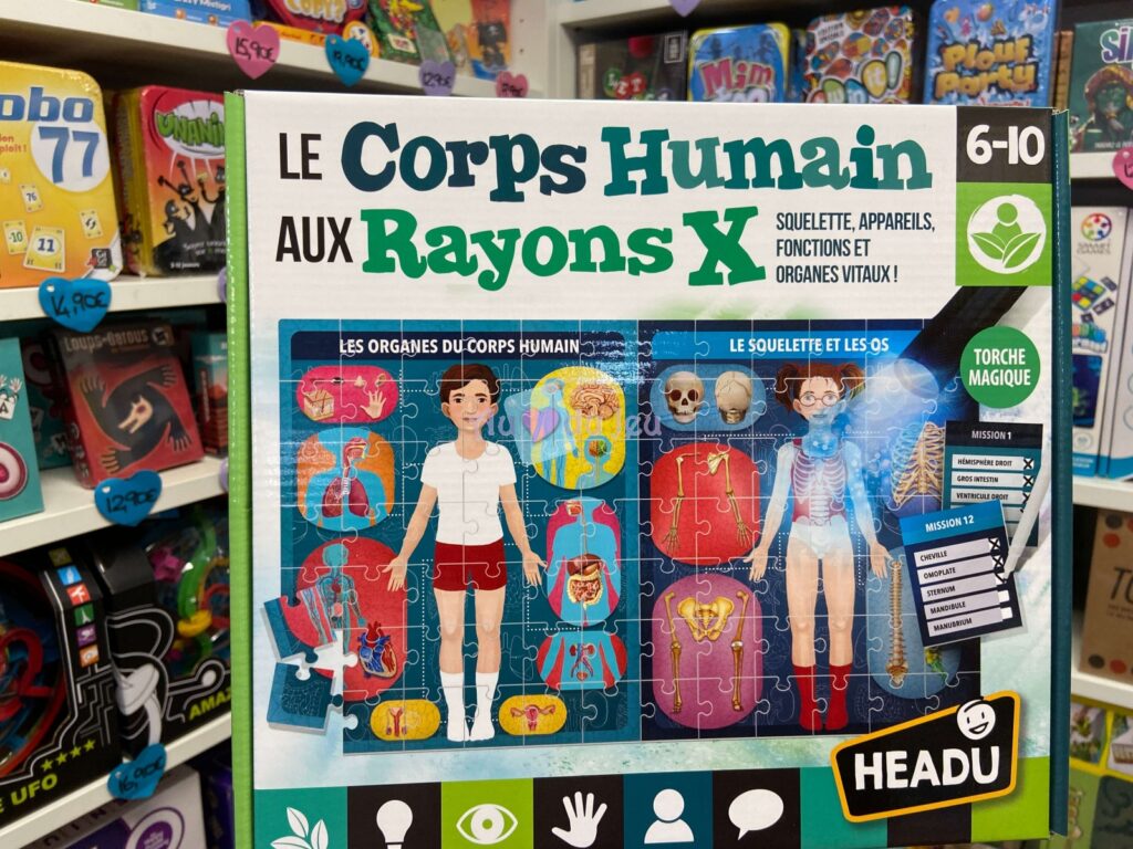 Le Corps Humain Aux Rayons X - Headu